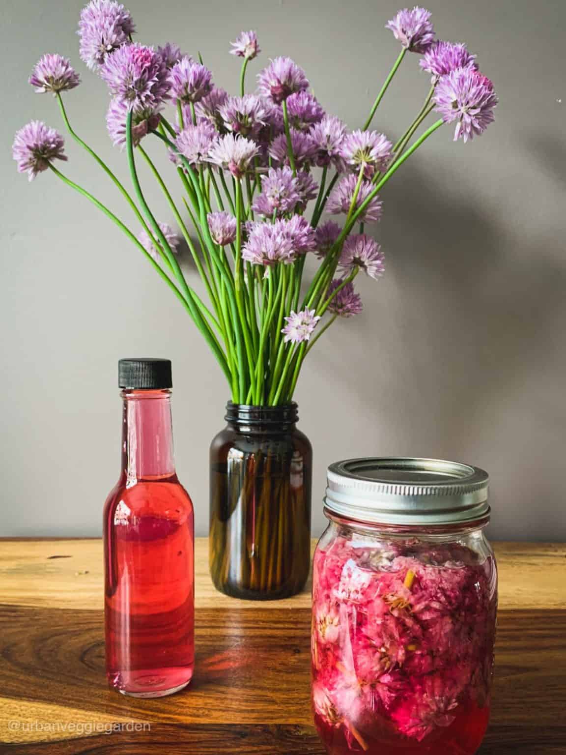 Easy Chive Blossom Vinegar Recipe - Urban Farm and Kitchen
