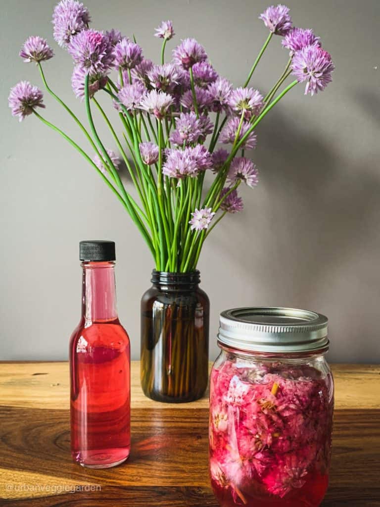 Easy Chive Blossom Vinegar Recipe - Urban Farm and Kitchen