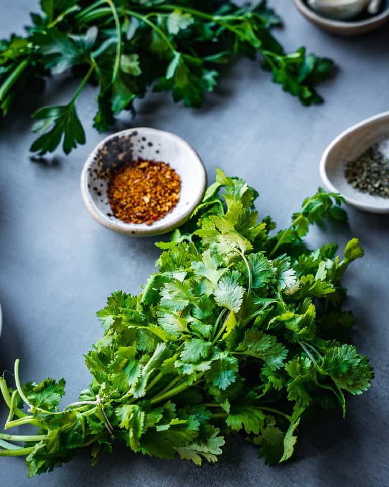 Cilantro Chimichurri - Urban Farm and Kitchen