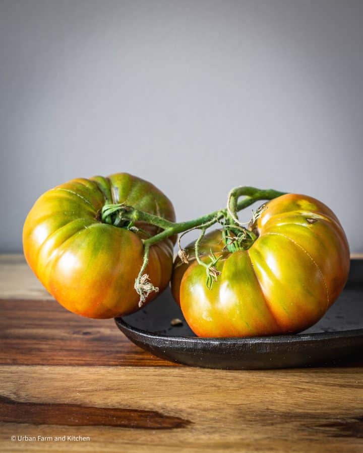 21 Best Tomato Varieties [with Photos] - Urban Farm and Kitchen