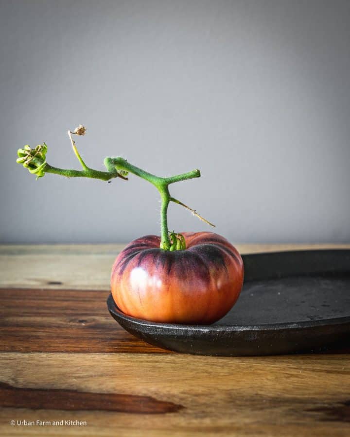 21 Best Tomato Varieties [with Photos] - Urban Farm and Kitchen