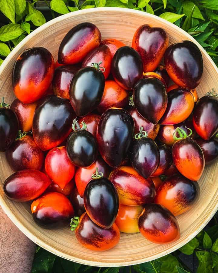 21 Best Tomato Varieties [with Photos] - Urban Farm and Kitchen