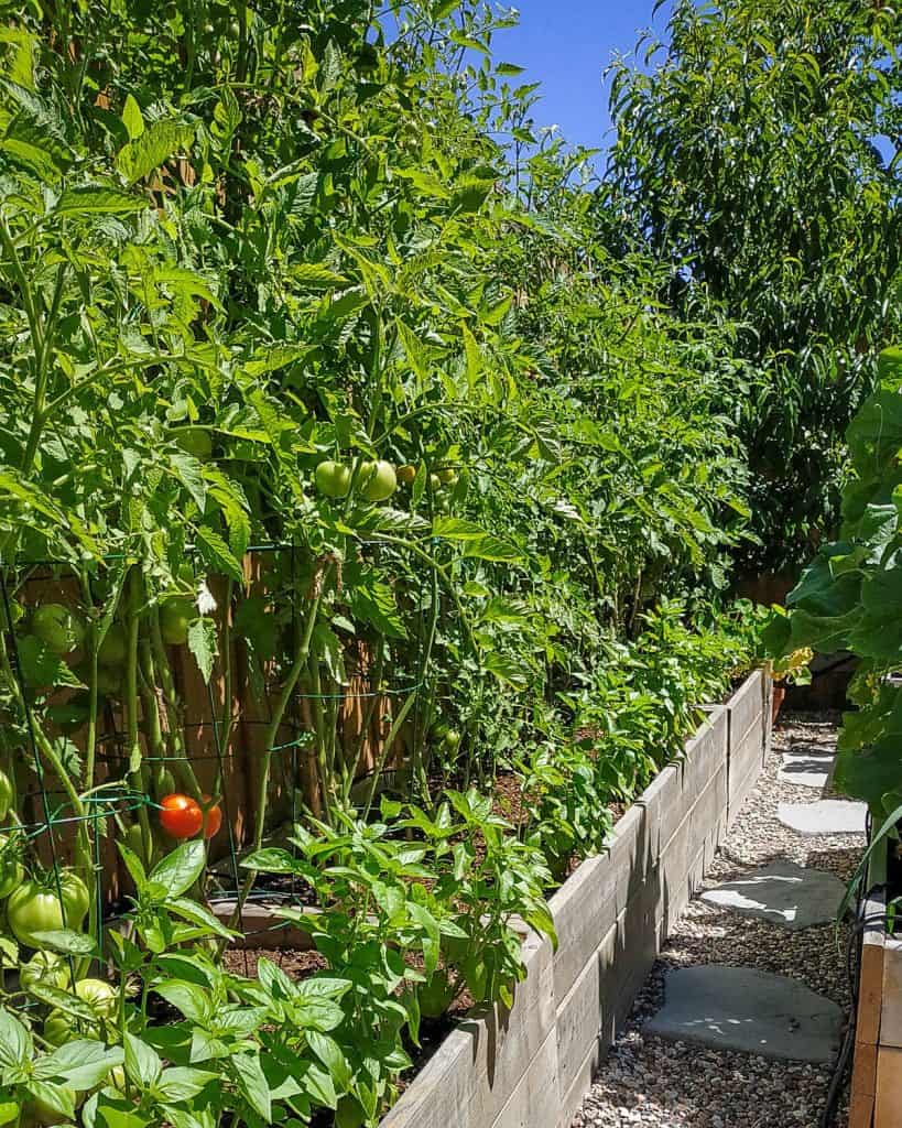 Topsoil vs garden soil: Differences, uses - Urban Farm and Kitchen