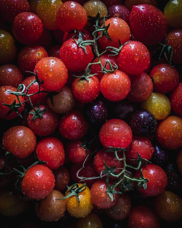 21 Best Tomato Varieties [with Photos] - Urban Farm and Kitchen