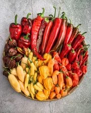 33 Best Types of Pepper Plants to Grow [with photos] - Urban Farm and ...