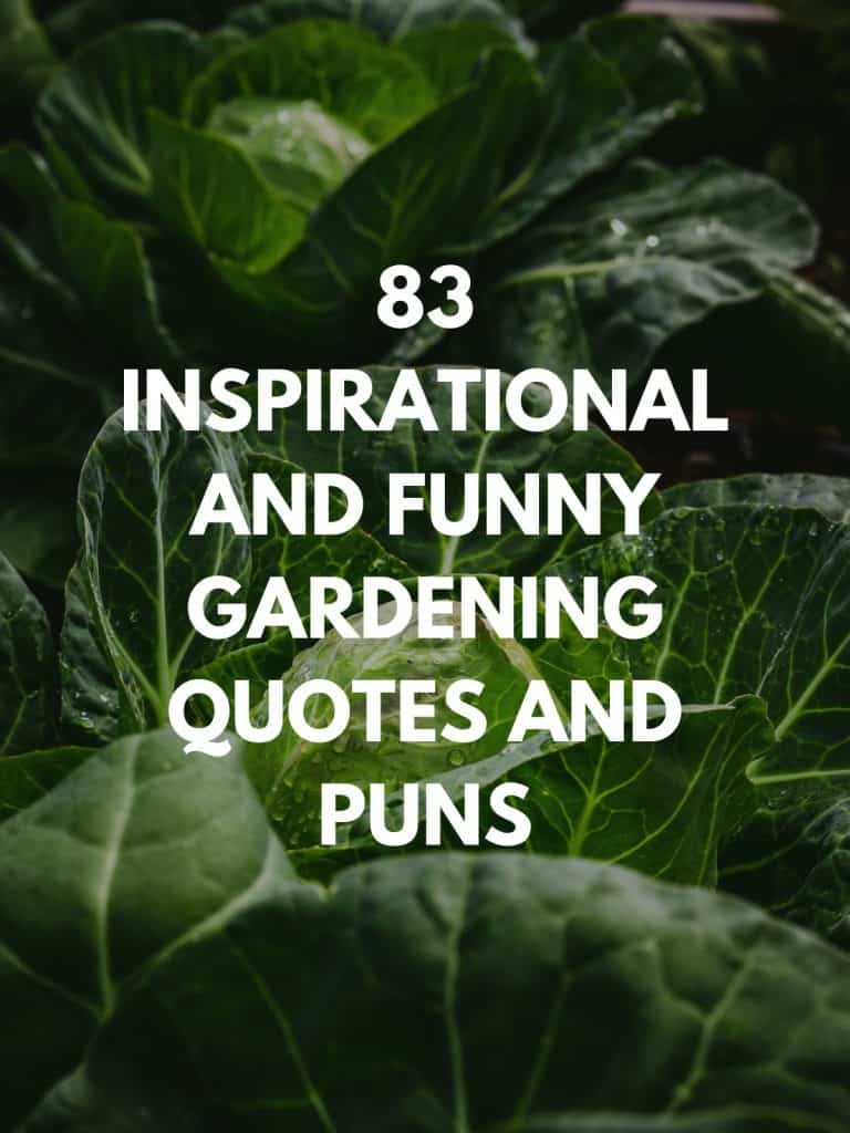 83 Inspirational and Funny Gardening Quotes and Puns - Urban Farm and ...