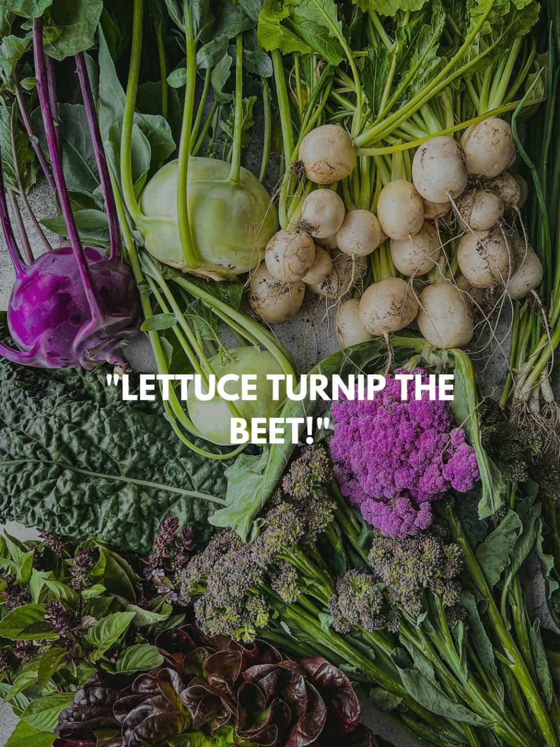 83 Inspirational and Funny Gardening Quotes and Puns - Urban Farm and ...