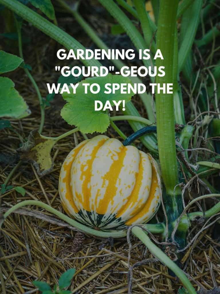 83 Inspirational and Funny Gardening Quotes and Puns - Urban Farm and ...