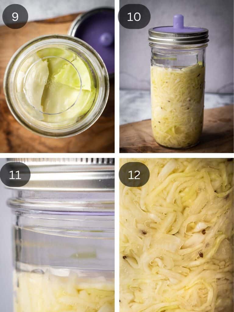 Sauerkraut Recipe (Complete Guide to Fermenting Cabbage) - Urban Farm ...