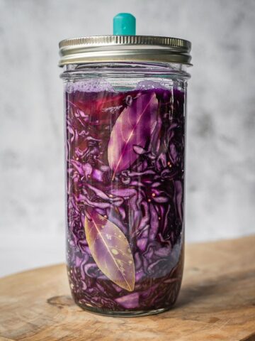 Red Cabbage Sauerkraut (Simple Fermented Cabbage) - Urban Farm and Kitchen