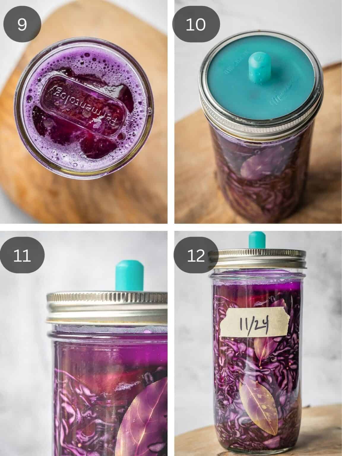 Red Cabbage Sauerkraut (Simple Fermented Cabbage) - Urban Farm and Kitchen