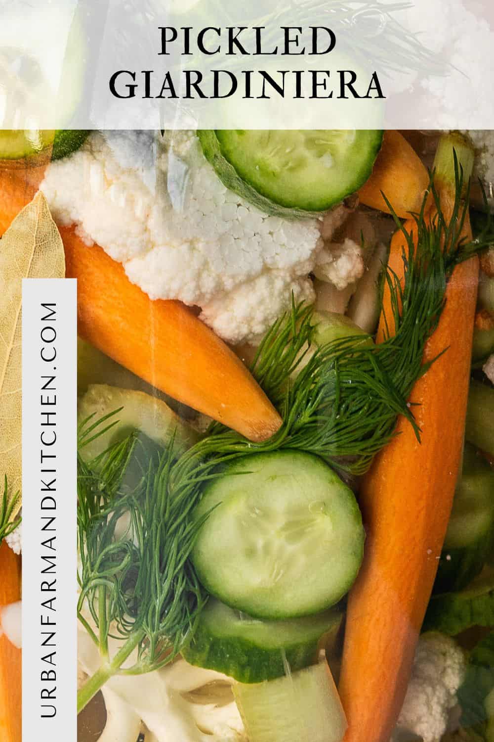 Homemade Giardiniera Pickles (Italian Pickled Vegetables) - Urban Farm ...