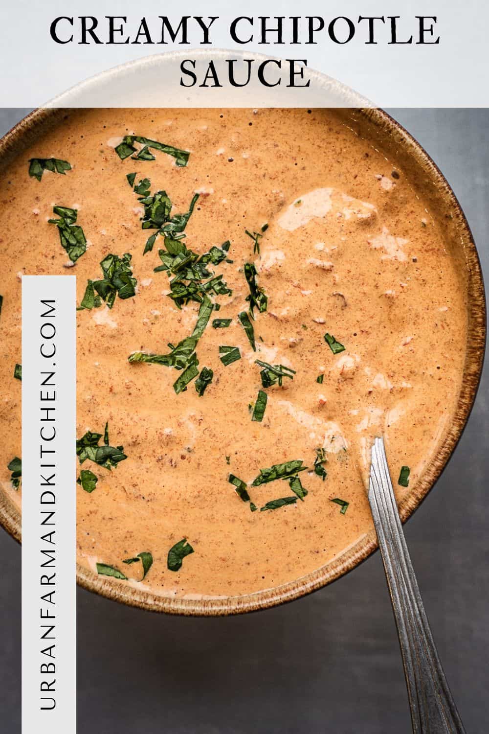 Creamy Chipotle Sauce Recipe (For Tacos, Dips & More) - Urban Farm and ...
