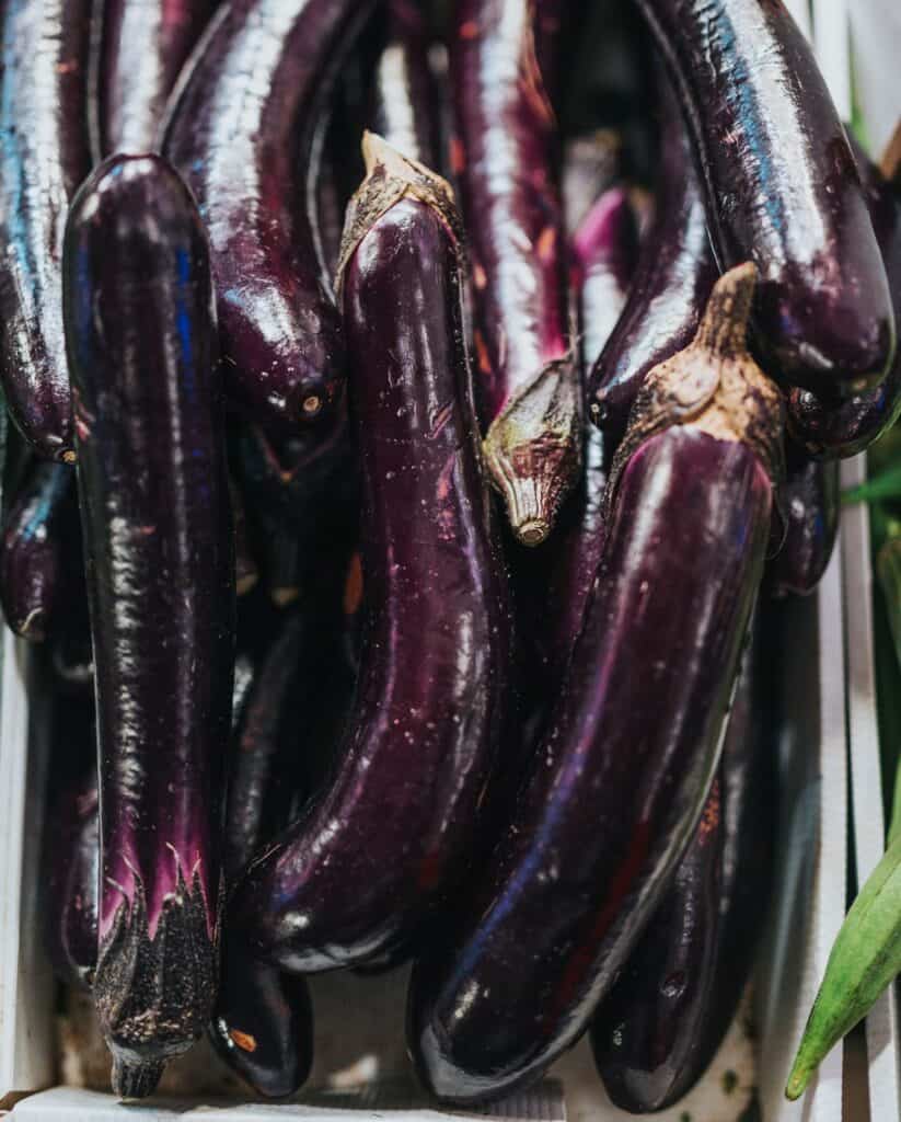 13 Best Eggplant Varieties to Grow [with Recipes & Photos] - Urban Farm ...