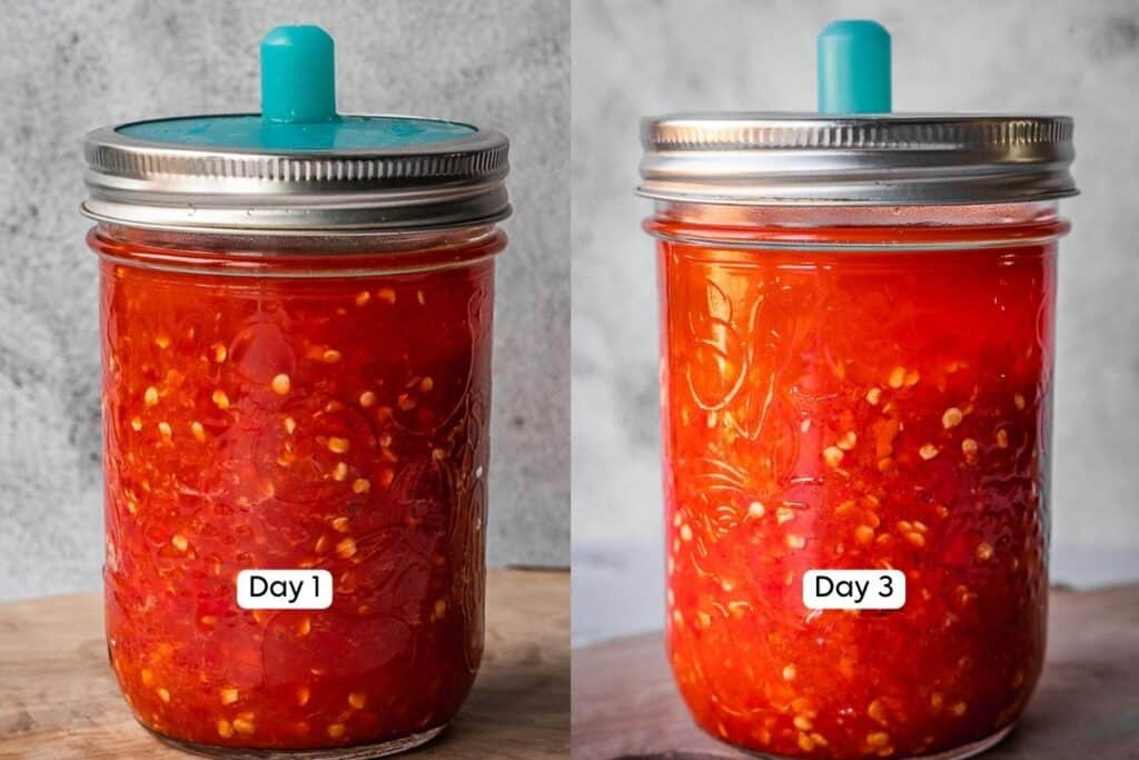 Sambal Oelek (How to Make Indonesian Fermented Chili Paste) - Urban ...
