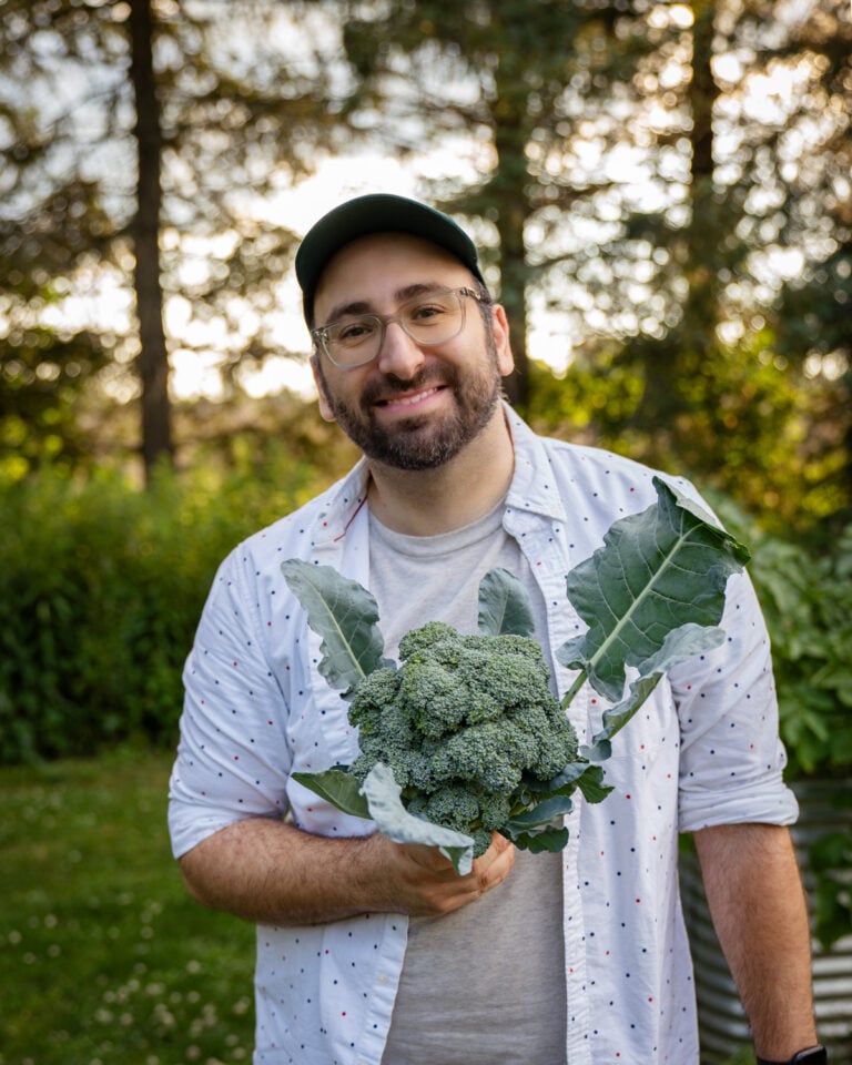 Qidreh (Palestinian Spiced Lamb and Rice Recipe) - Urban Farm and Kitchen