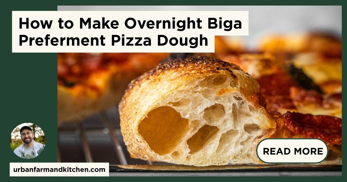 Overnight Biga Neapolitan Pizza Dough Recipe (with Video) - Urban Farm ...
