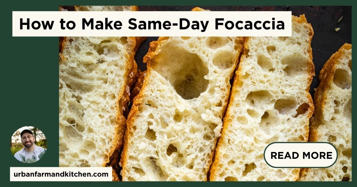 Easy Same-Day Focaccia (Recipe, Topping Ideas and Video) - Urban Farm ...